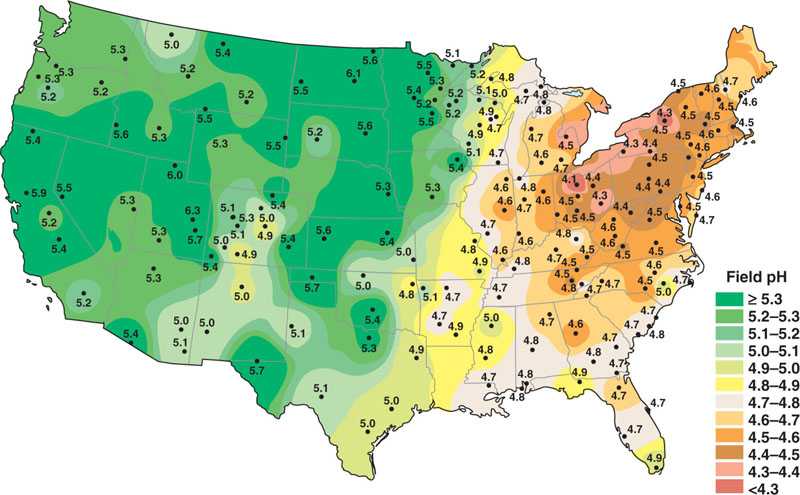Biodiversity WebQuest